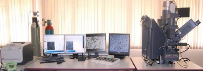 There is an image here