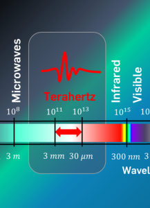 Terahertz Communication and Sensing
