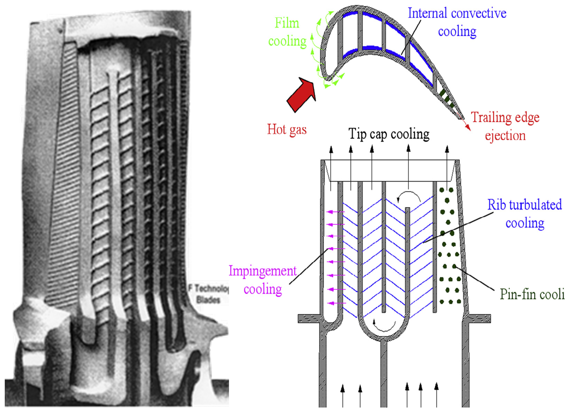 Dr. Andallib Tariq - Home