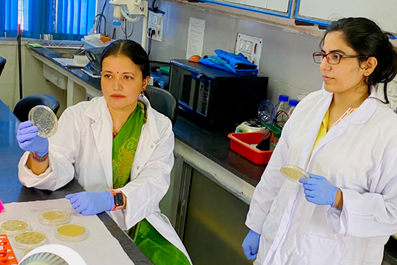 RohatgiLab | IIT Roorkee